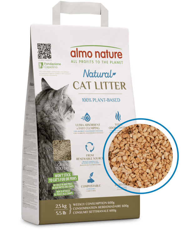 Cat Litter