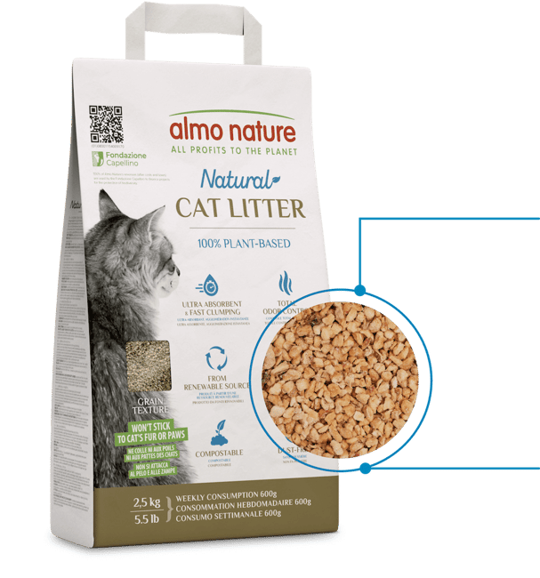Cat Litter