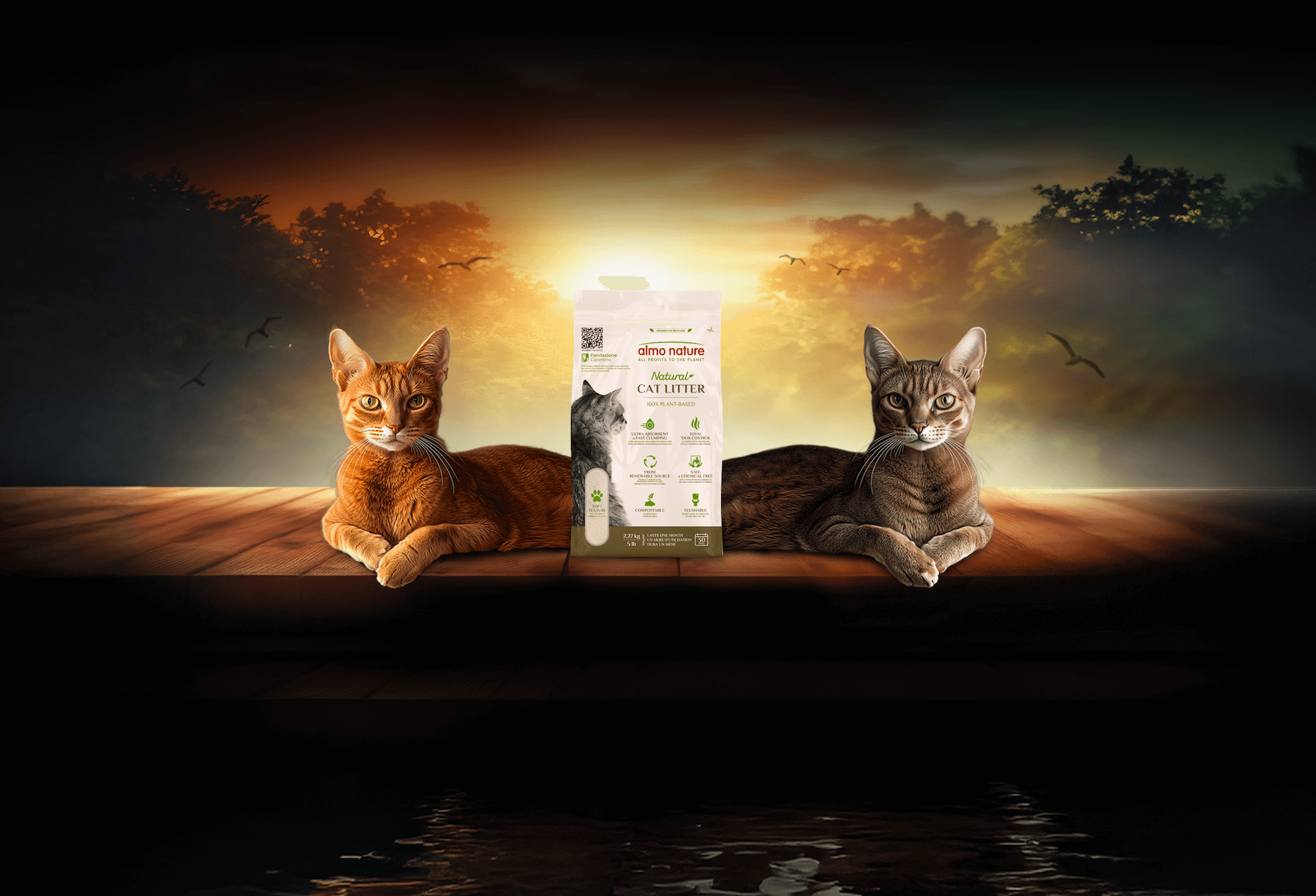 Natural Cat Litter Soft Texture - Textura ultrafina y natural