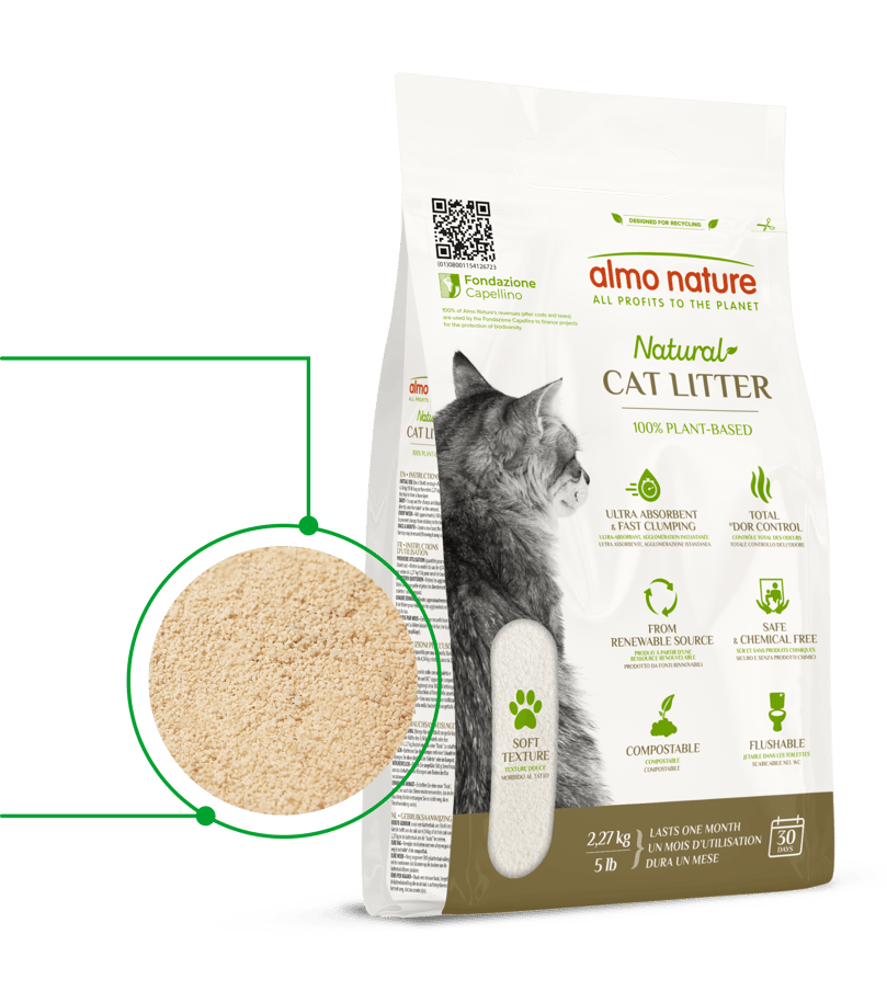 Cat Litter